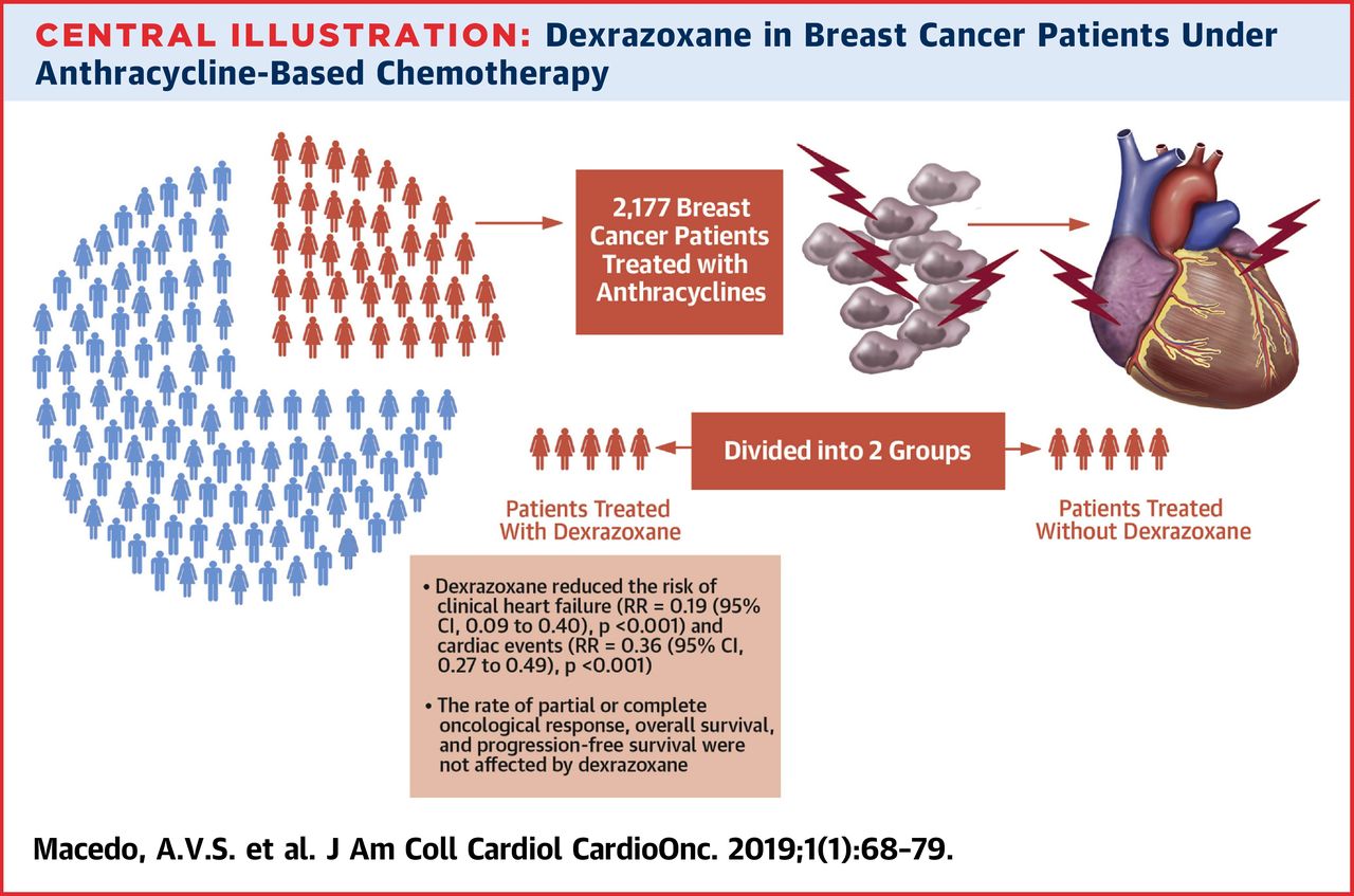 What is Cardio Toxicity – CardioCan